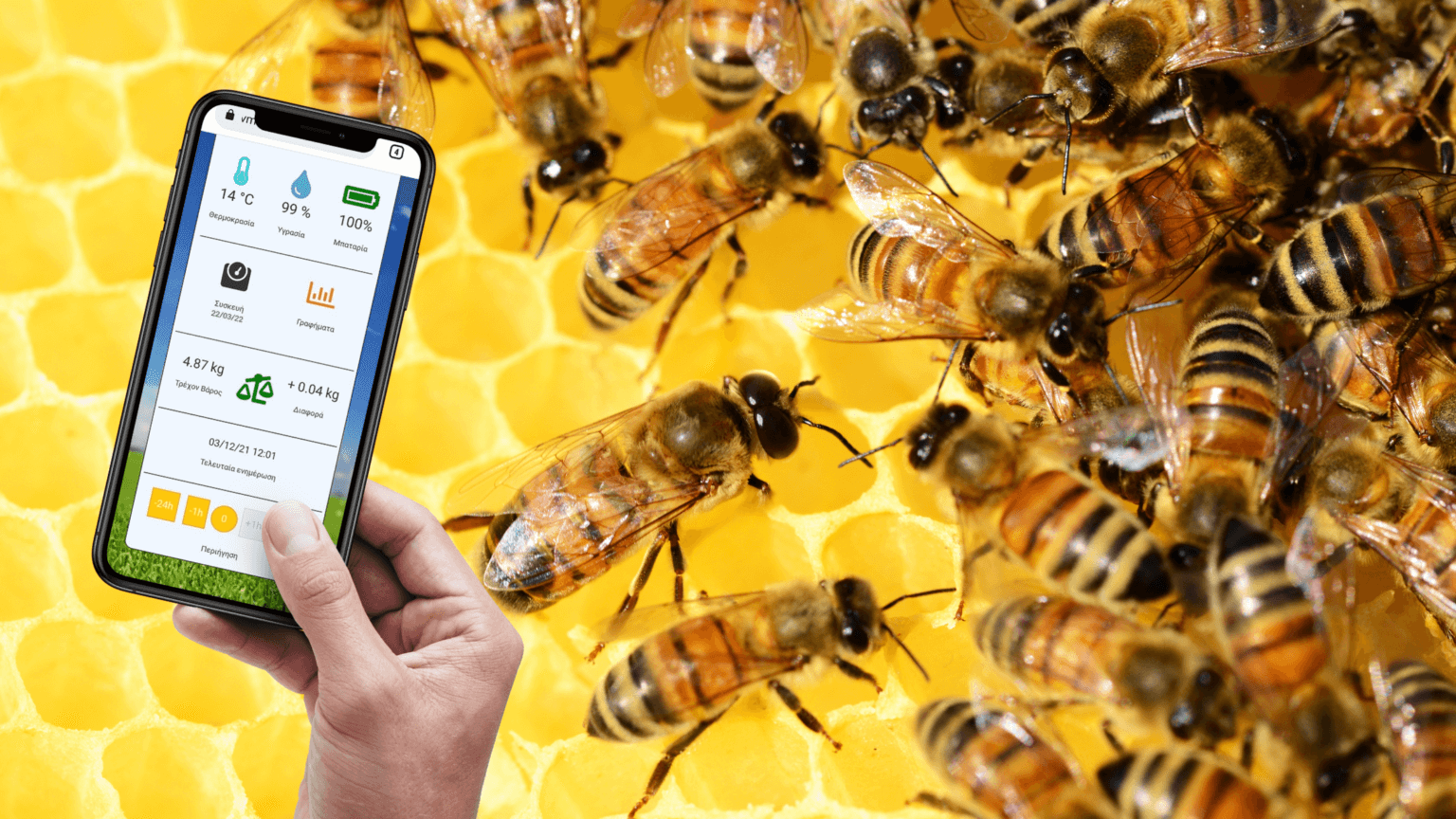 Honey Bees and cellular SIM card technology, how are they connected ...